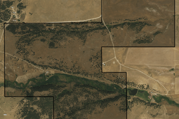 Turkey Track Ranch | Montana Land for Sale